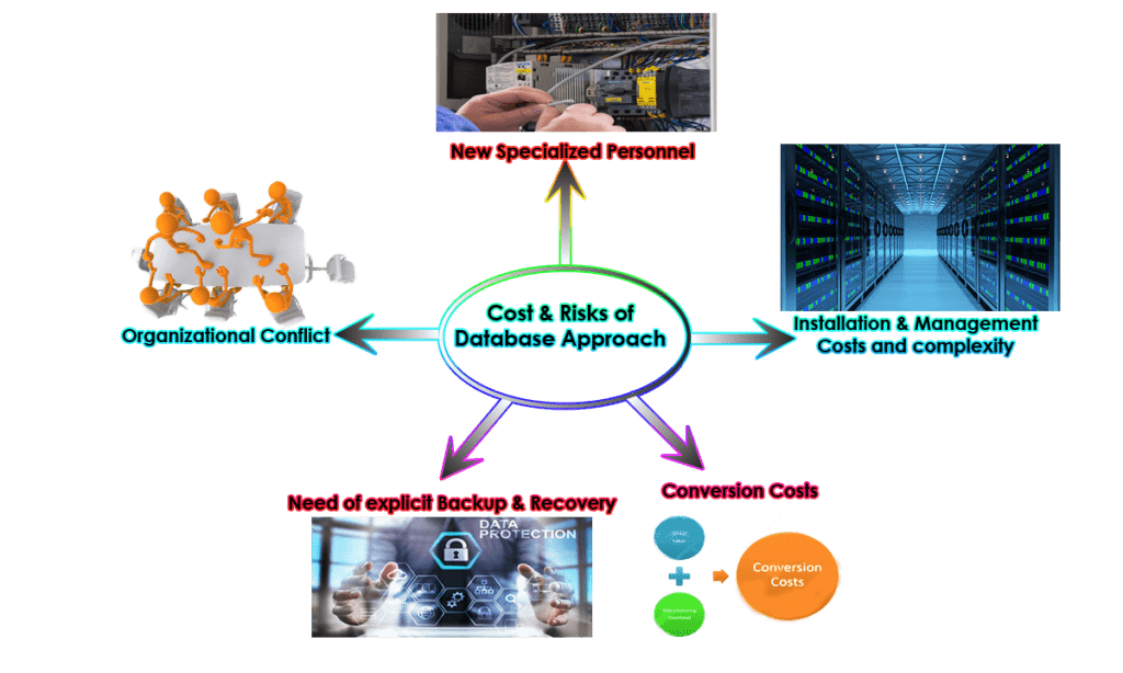 Costs & Risks of Database Approach - Library & Information Management