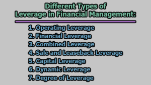 Different Types of Leverage in Financial Management | limbd.org