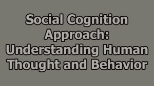 Social Cognition Approach: Understanding Human Thought and Behavior ...