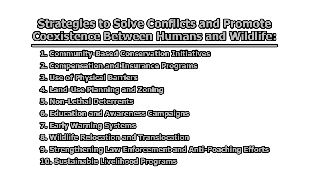 Strategies to Solve Conflicts and Promote Coexistence Between Humans ...