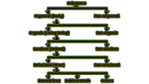 Five Predicable & Tree of Porphyry of Library Classification